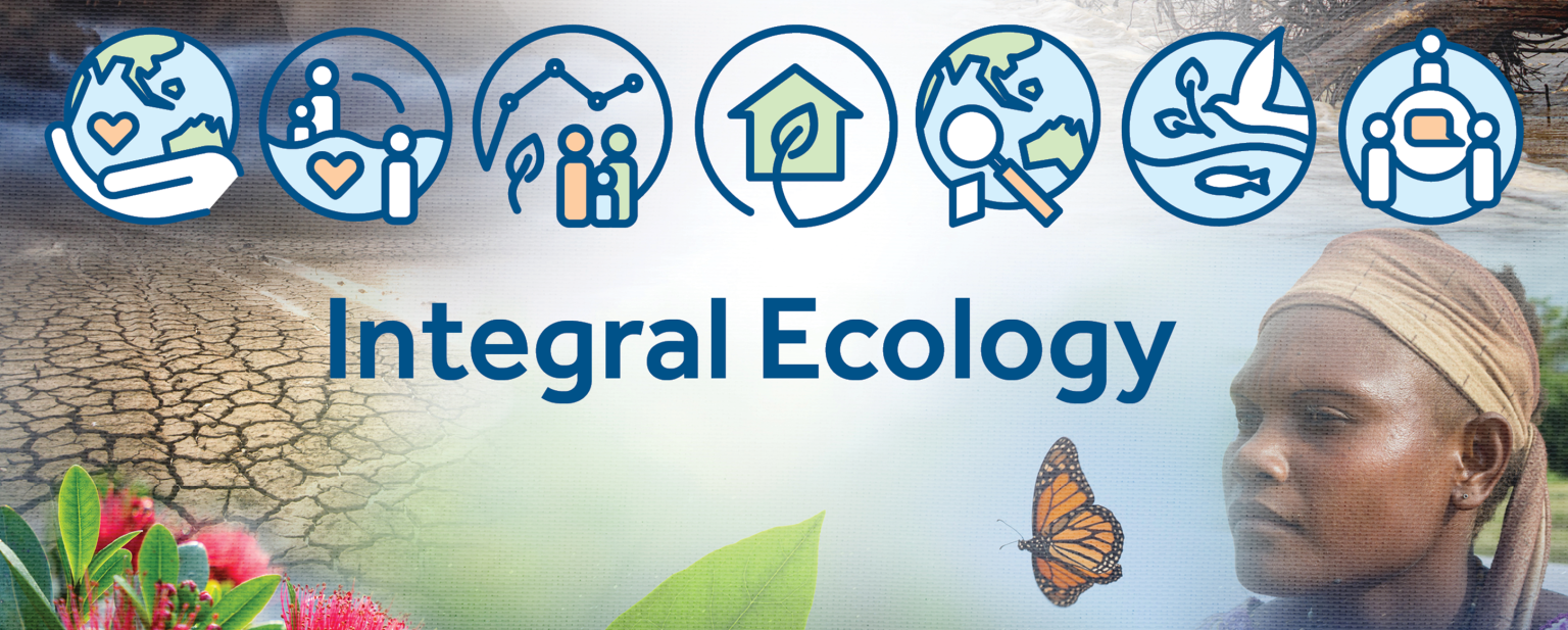 2023 Mercy Integral Ecology Emerging Leaders Fellowship | Institute of ...